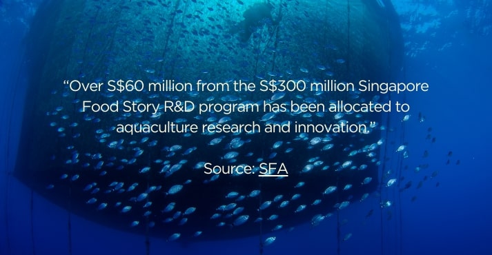 SFA Food Regulation: Singapore Food Agency Regulation Guide